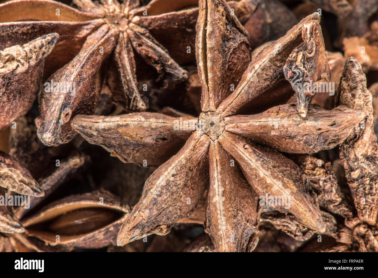 Underside of star anise texture, a popular ingredient in baking and ...