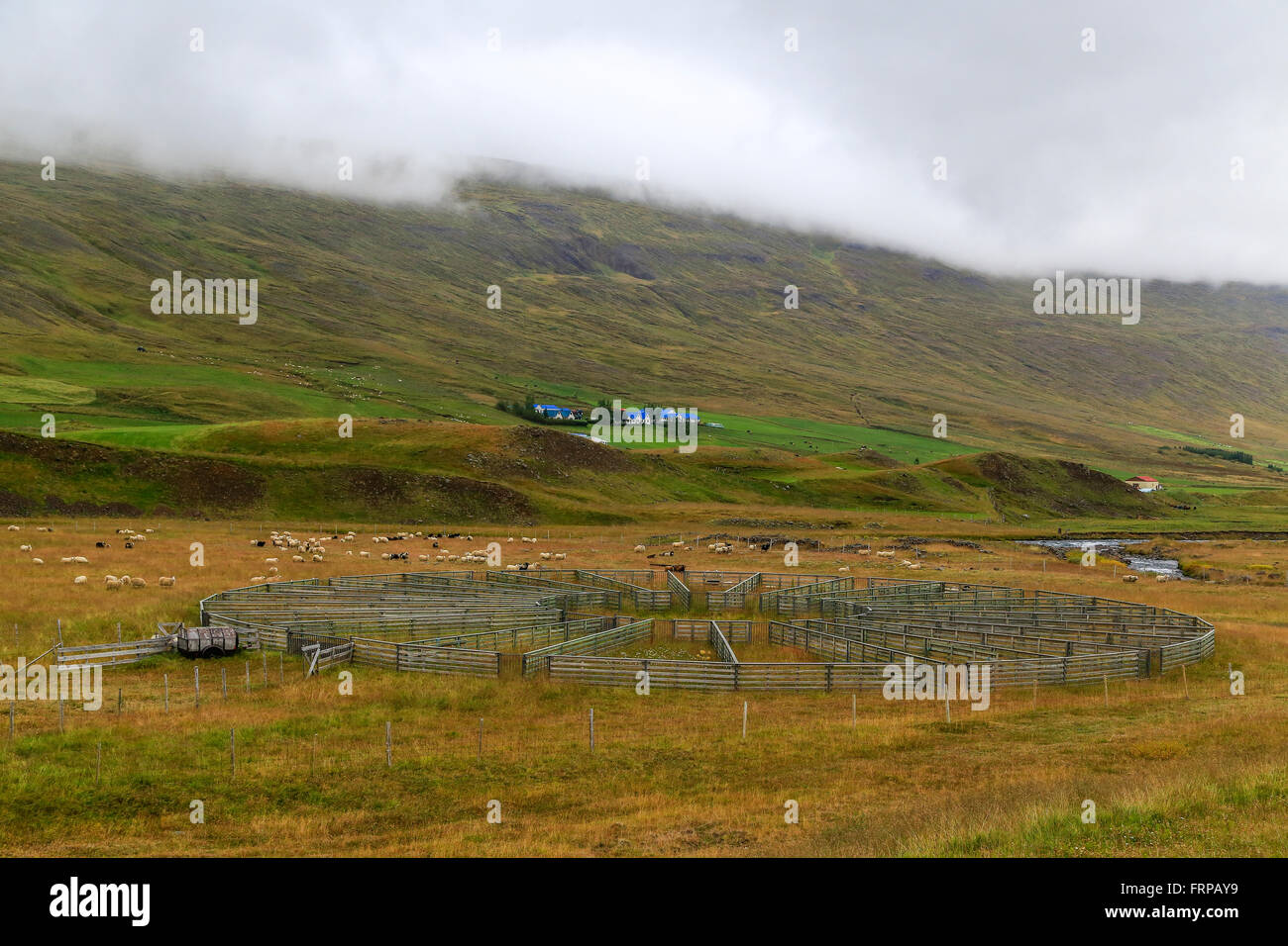 Sorting structure hi-res stock photography and images - Alamy