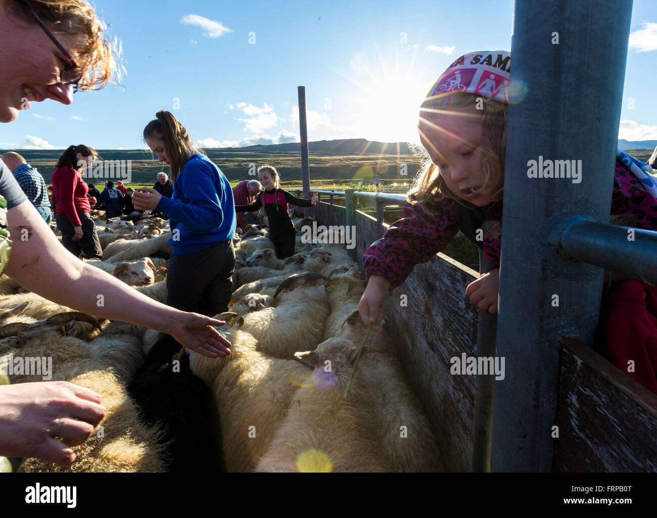 Icelandic children hi-res stock photography and images - Alamy