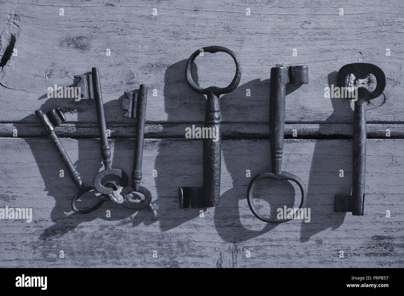 Skeleton surface hi-res stock photography and images - Alamy