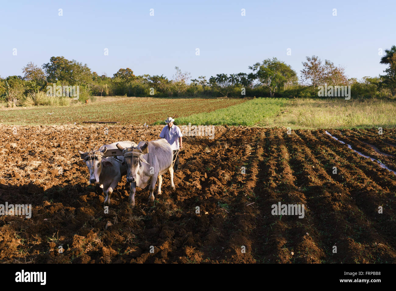 Farming and cultivations in Latin America. High angle view of middle ...