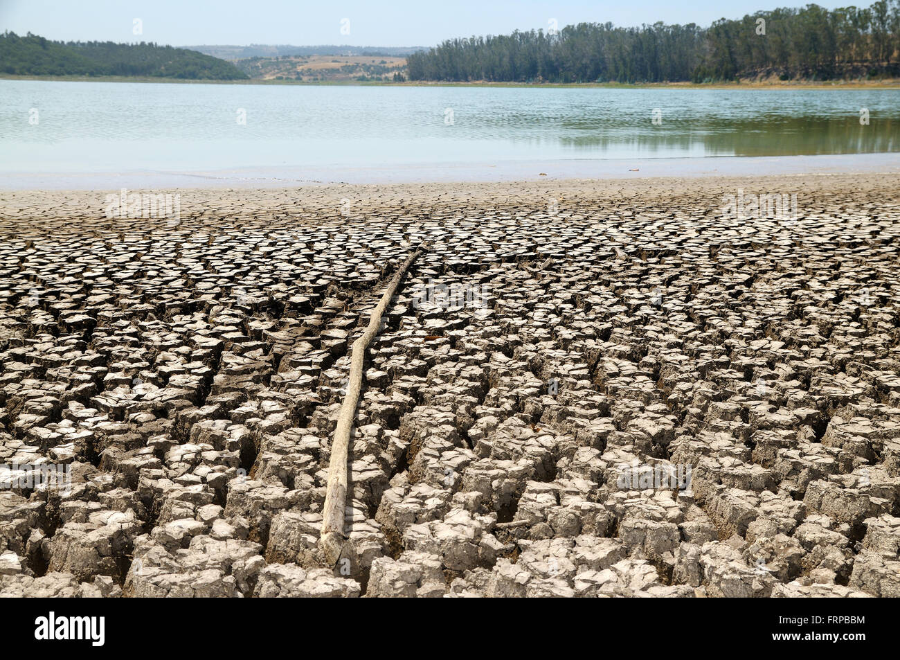 Lake growing dry because of the excessive water use in industries ...