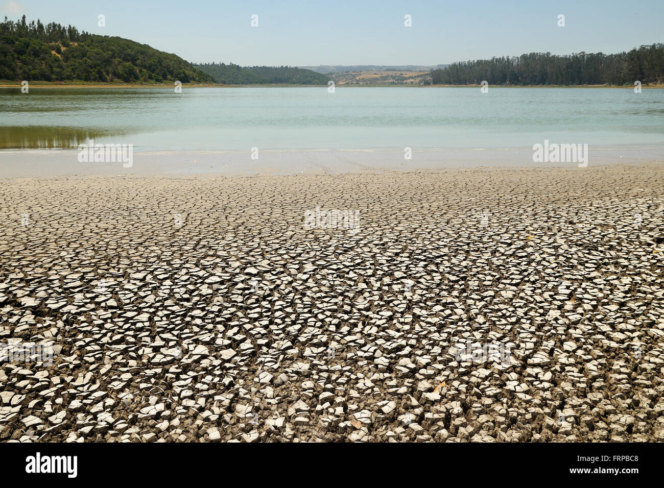Lake growing dry because of the excessive water use in industries ...