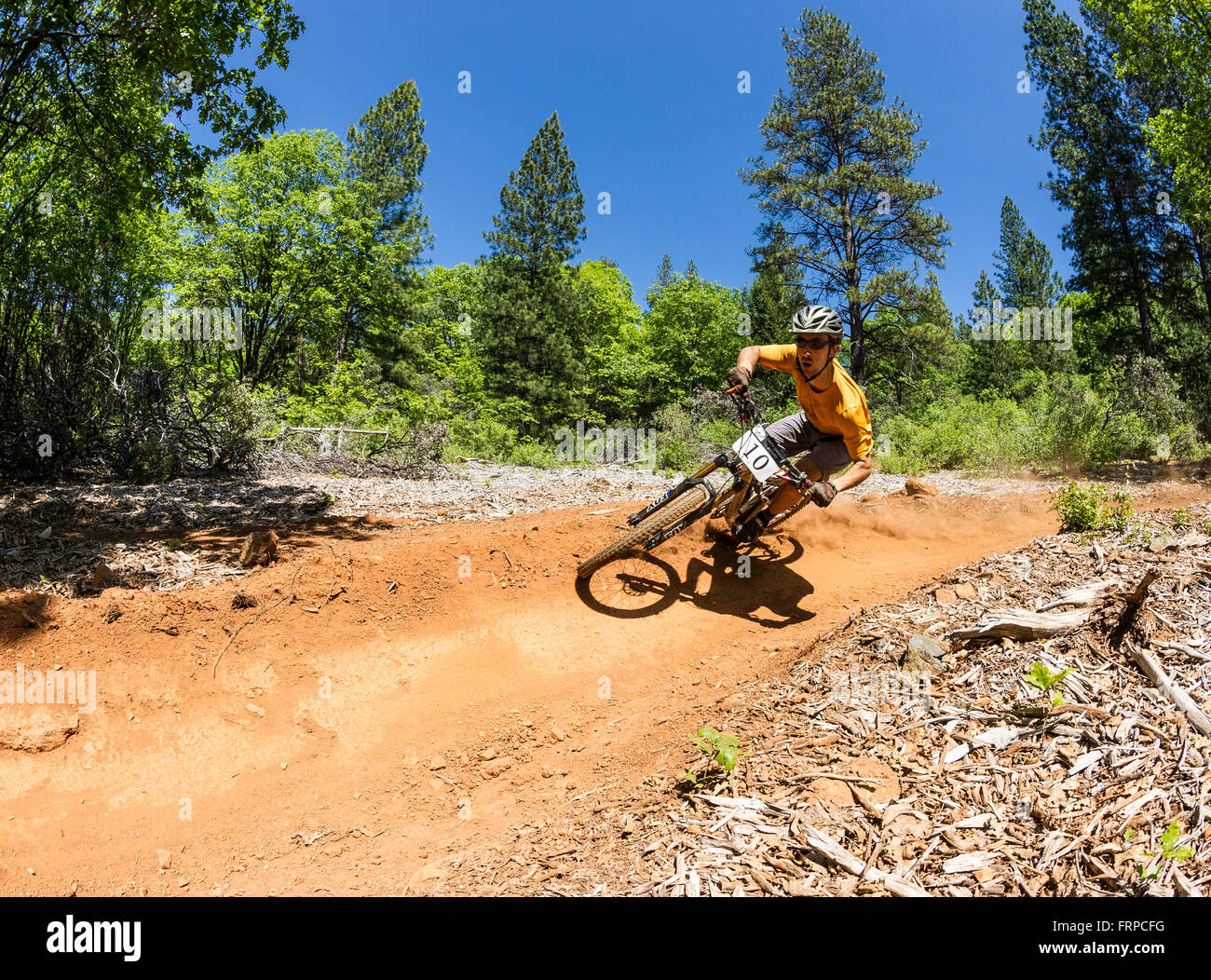 Mountian biker riding the Dirty Sanchez Enduro bike race, Nevada County ...
