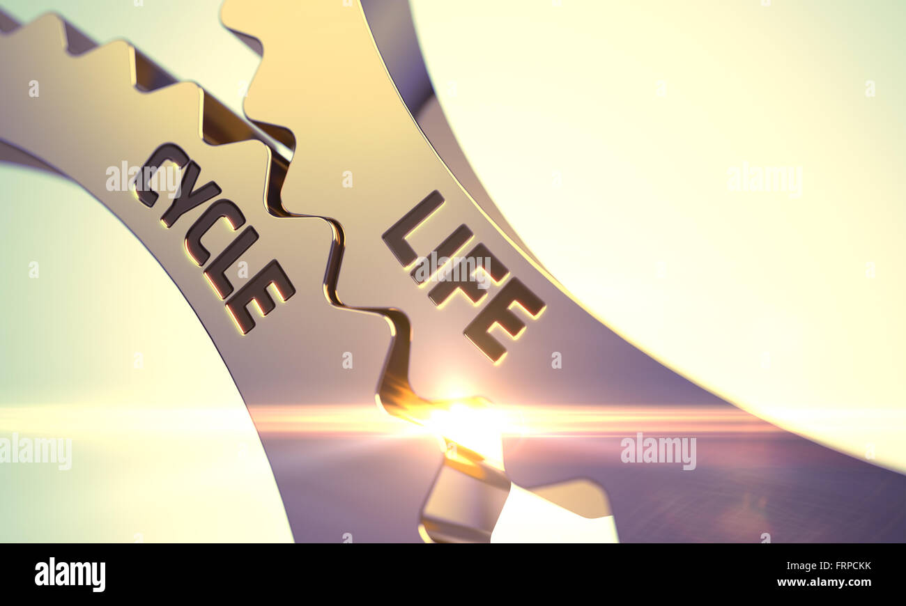 Lifecycle life cycle business flow hi-res stock photography and images ...