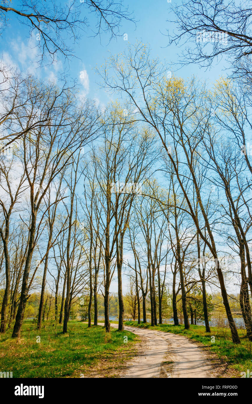 Sandy Countryside Road in Spring Season Stock Photo - Alamy
