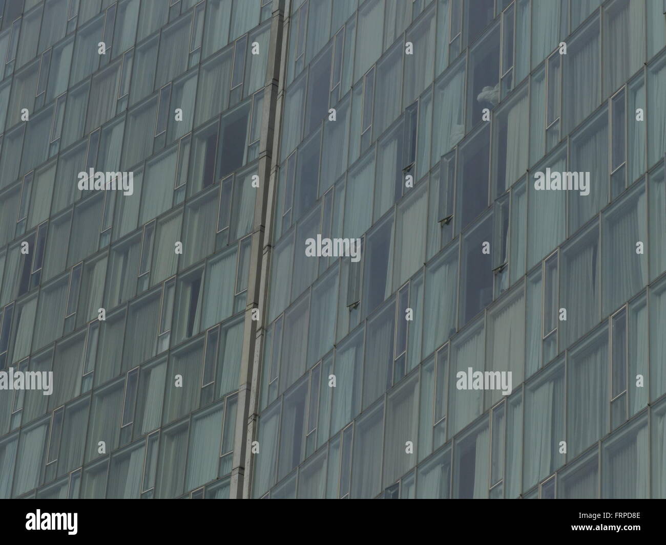 Hotel windows of The Standard High Line in Meat Packing District Stock ...