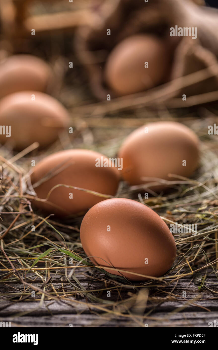 Fresh organic eggs in a nest on a farm Stock Photo - Alamy
