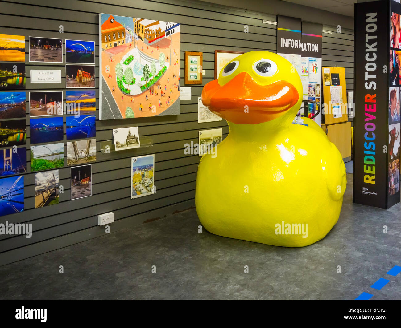 A large size model of a duck used to promote duck races in Rediscover ...
