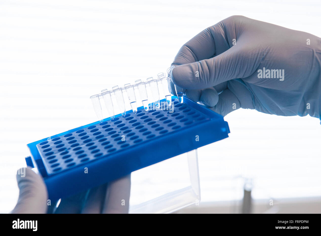 biological, biology, biotechnology, chemical, chemist , cure , discover ...