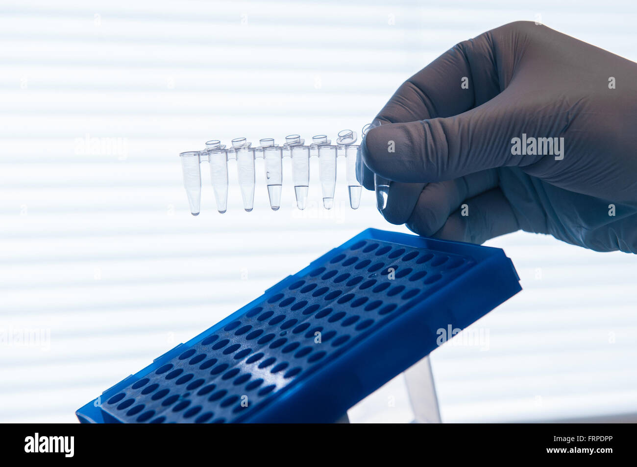 biological, biology, biotechnology, chemical, chemist , cure , discover ...