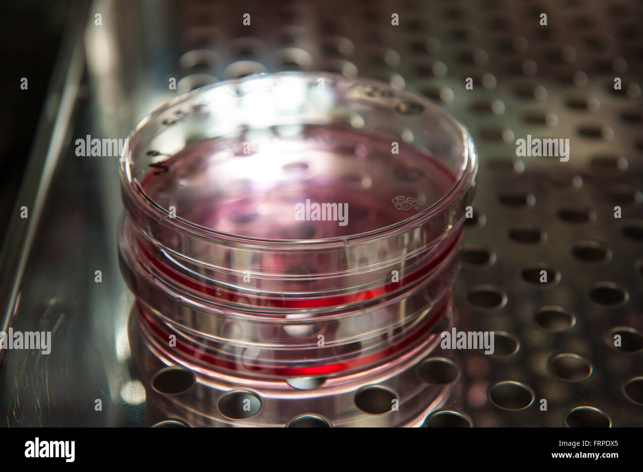 biological, biology, biotechnology, chemical, chemist , cure , discover ...