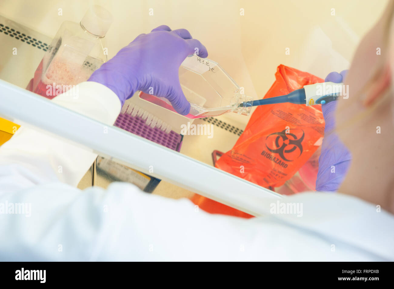 biological, biology, biotechnology, chemical, chemist , cure , discover ...