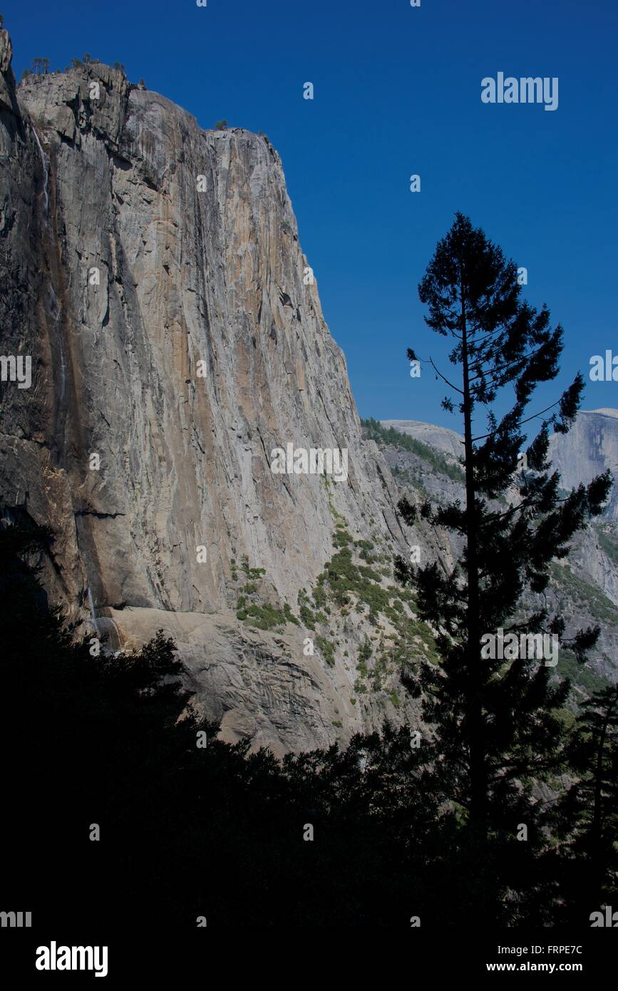 Cliffs in Yosemite Stock Photo - Alamy