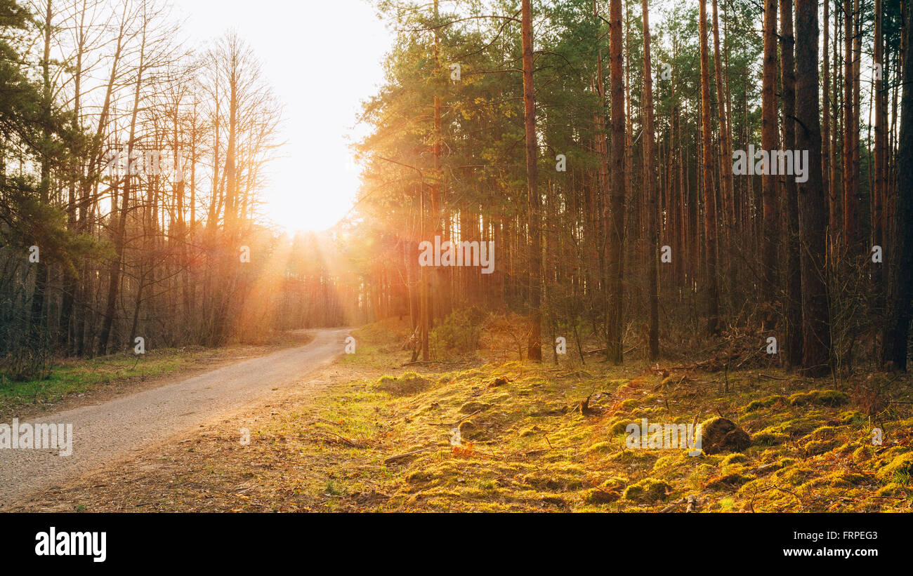Shining Path High Resolution Stock Photography and Images - Alamy