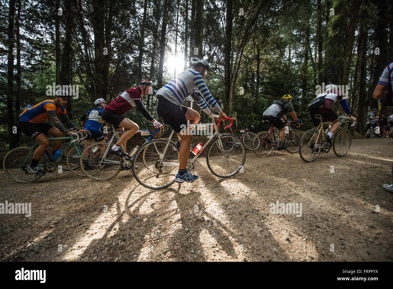 A ray of sunshine that illuminates the race. Eroica is a cycling event ...