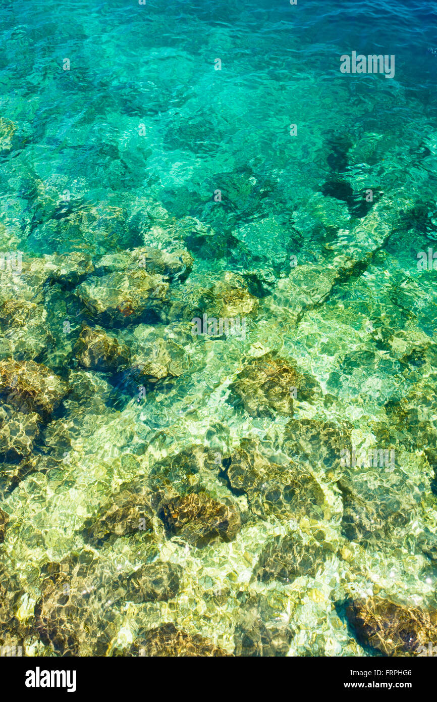 Clear background hi-res stock photography and images - Alamy