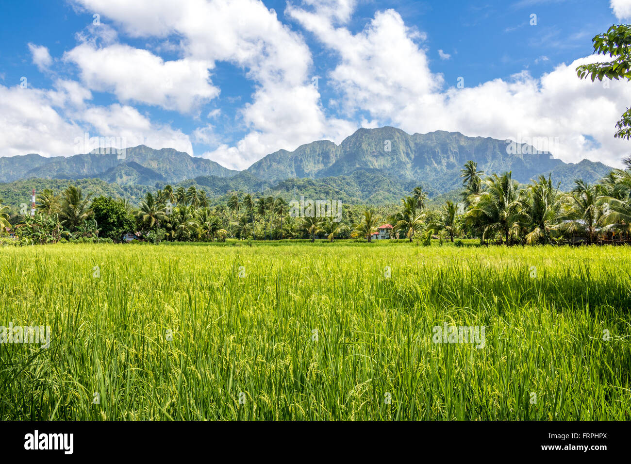 Philippines Leyte Baybay Beautiful scenery near the port town of Baybay ...
