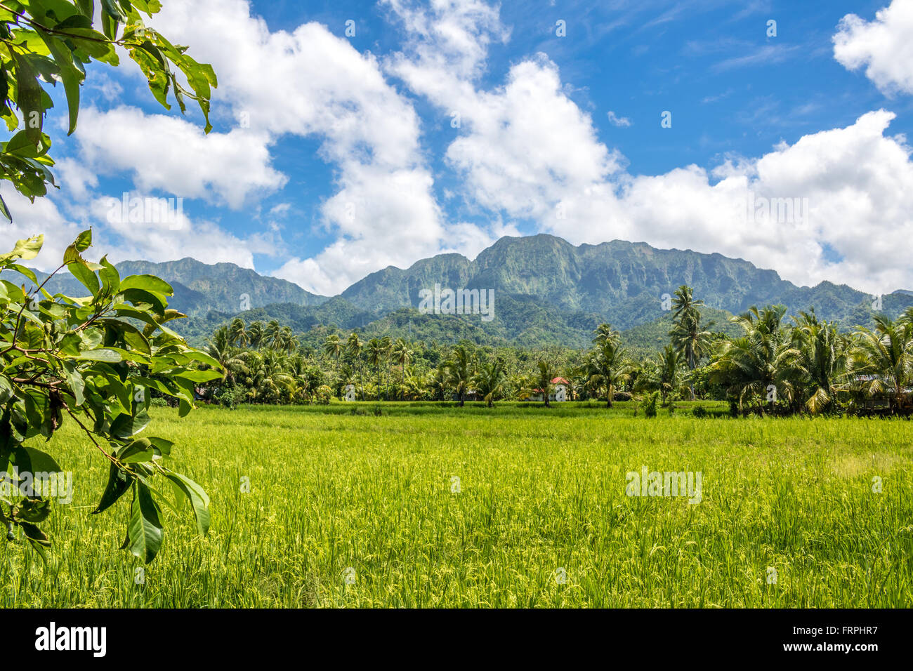 Philippines Leyte Baybay Beautiful scenery near the port town of Baybay Adrian Baker Stock Photo ...