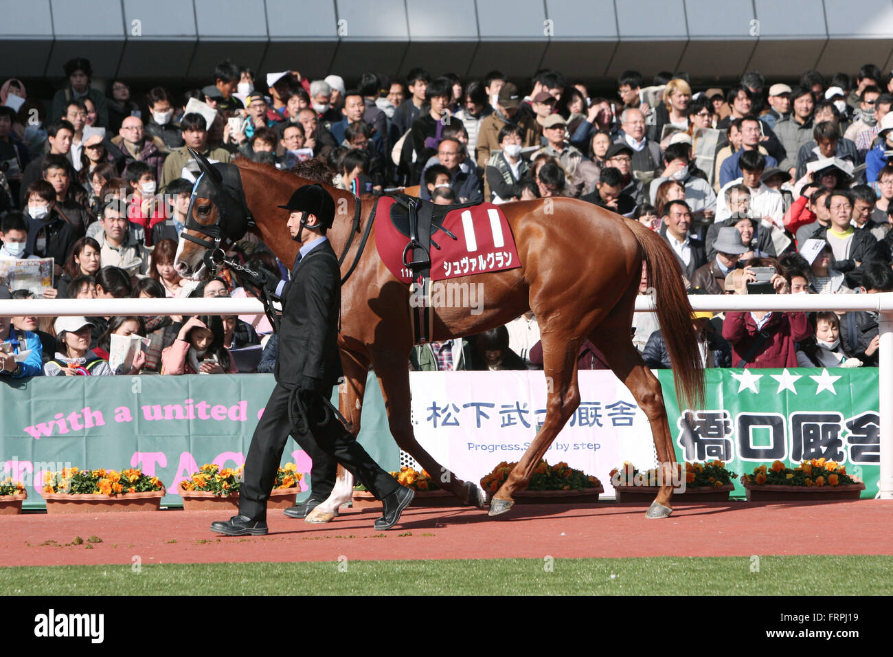 Hyogo, Japan. 20th Mar, 2016. Cheval Grand Horse Racing : Cheval Grand ...