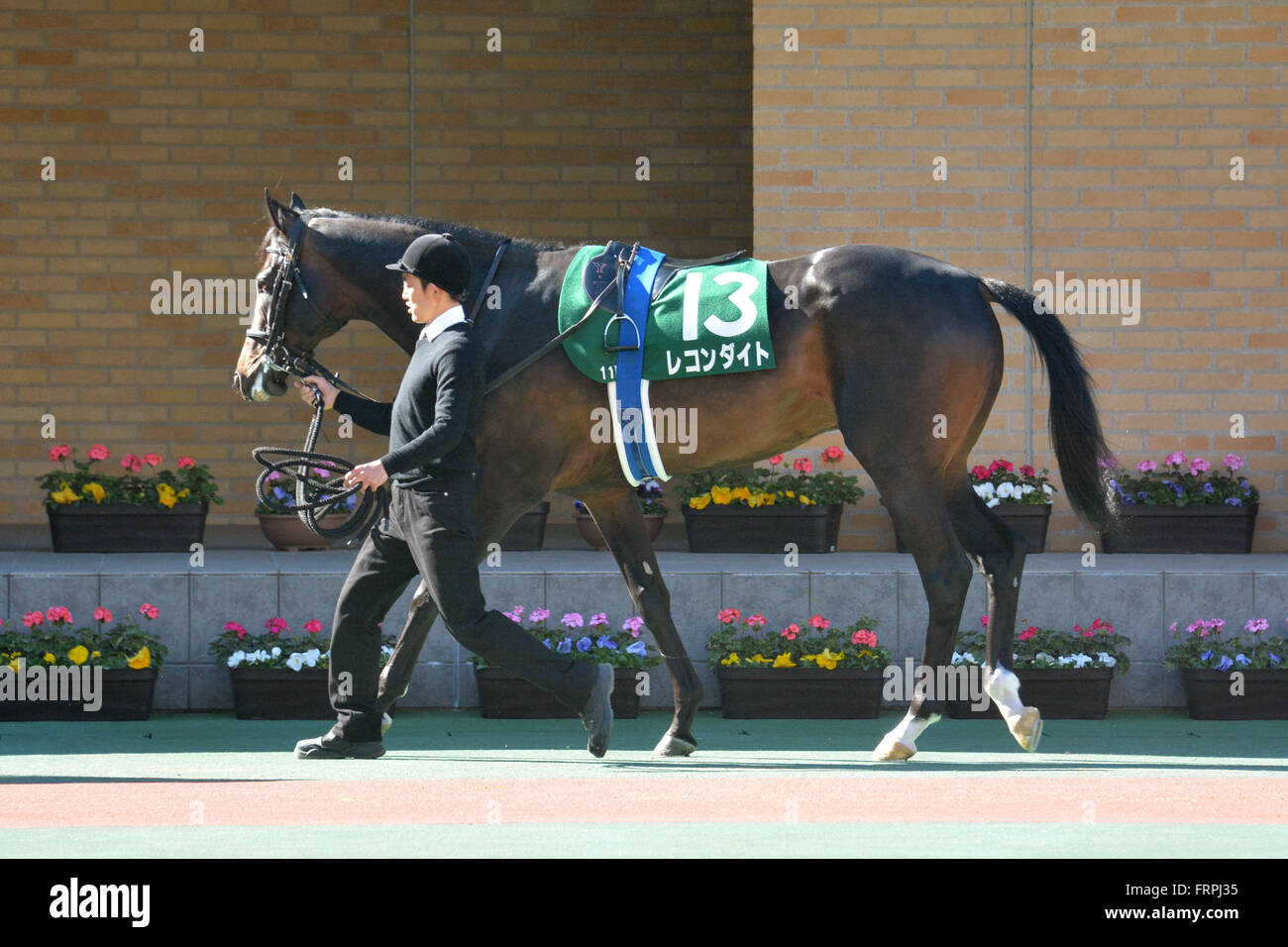 Recondite hi-res stock photography and images - Alamy