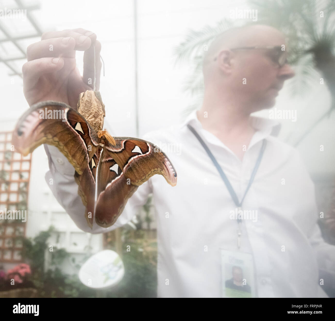 Live tropical butterfly house hi-res stock photography and images - Alamy