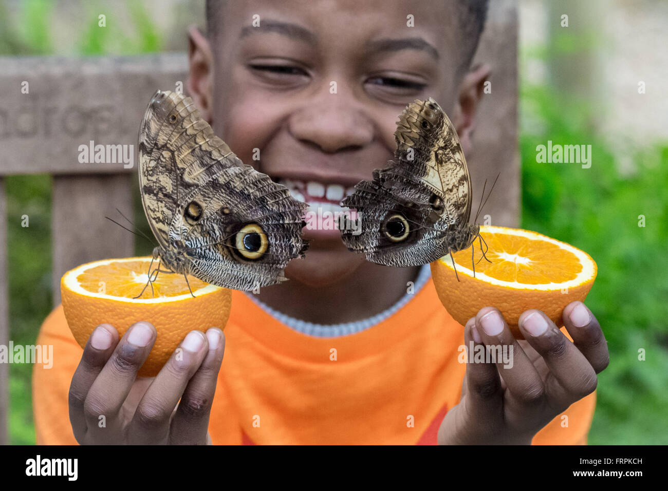 House of the butterflies hi-res stock photography and images - Alamy