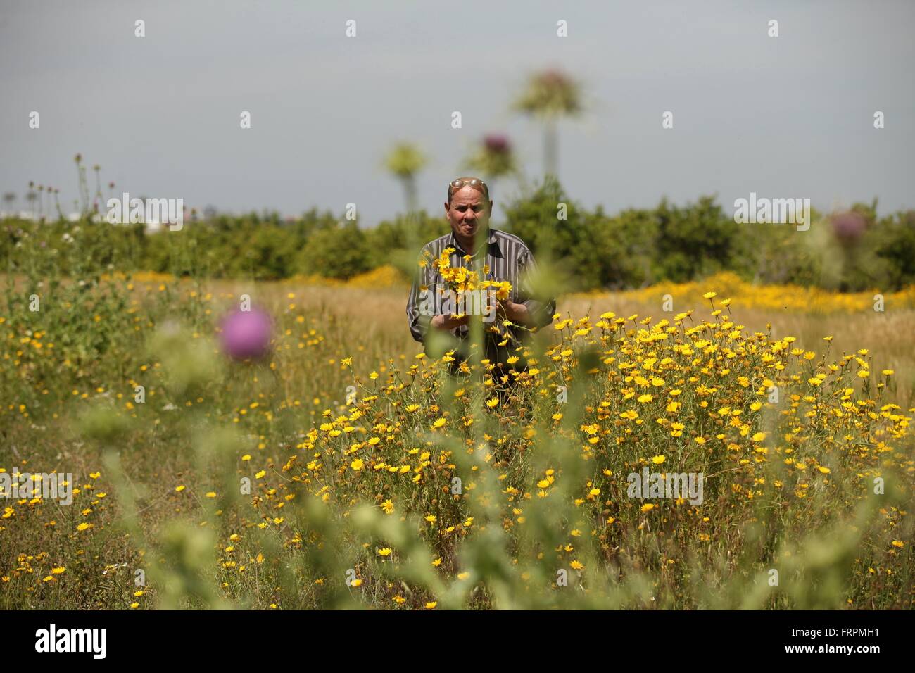 Gaza City, Gaza Strip, Palestinian Territory. 23rd Mar, 2016. A ...