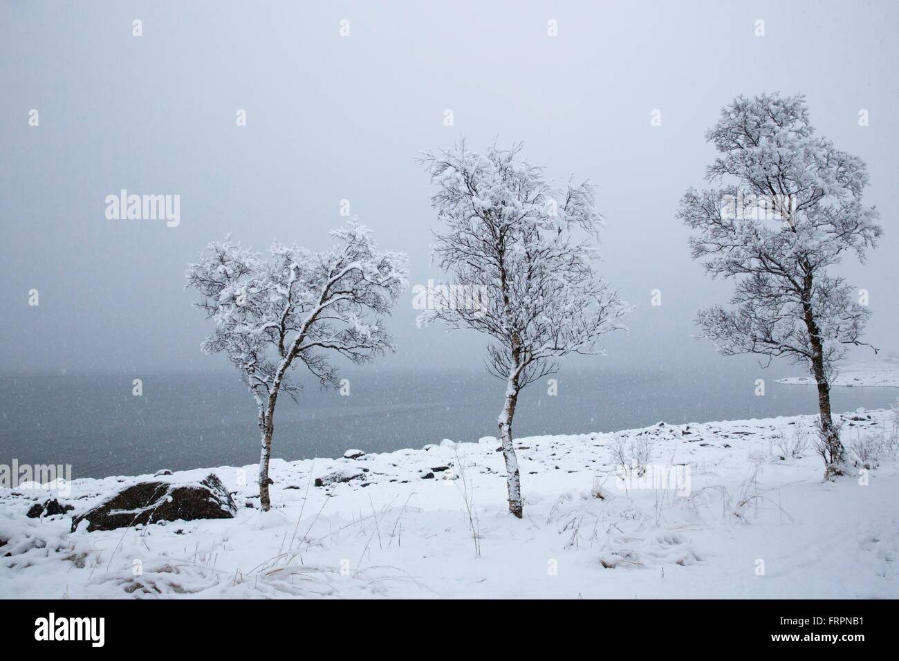 snow winter in Tromso, march 2016 Stock Photo - Alamy