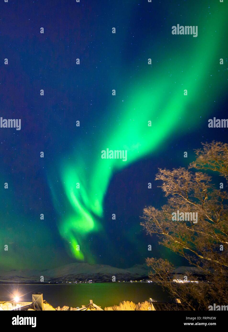 Aurora snake hi-res stock photography and images - Alamy