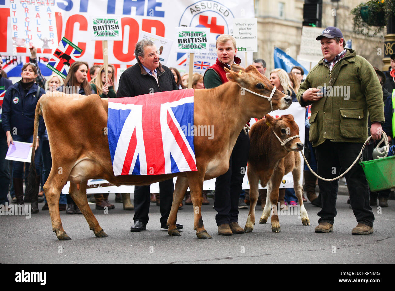 London, UK. 23rd March, 2016. Over 1000 farmers from across the country ...