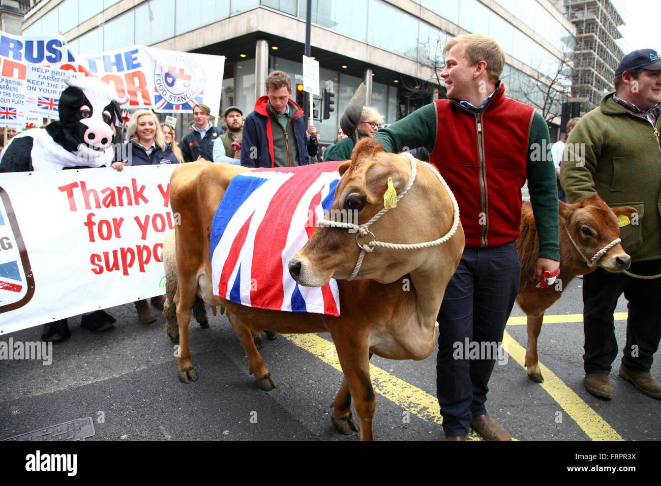 Pig cull uk hi-res stock photography and images - Alamy