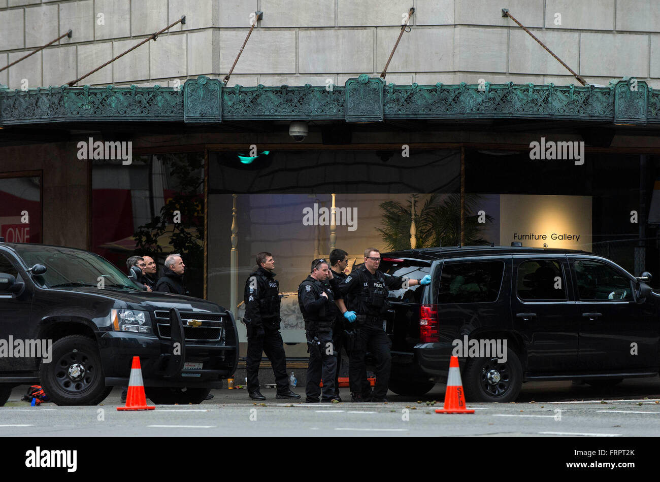 2016 man in tree sequoia hi-res stock photography and images - Alamy