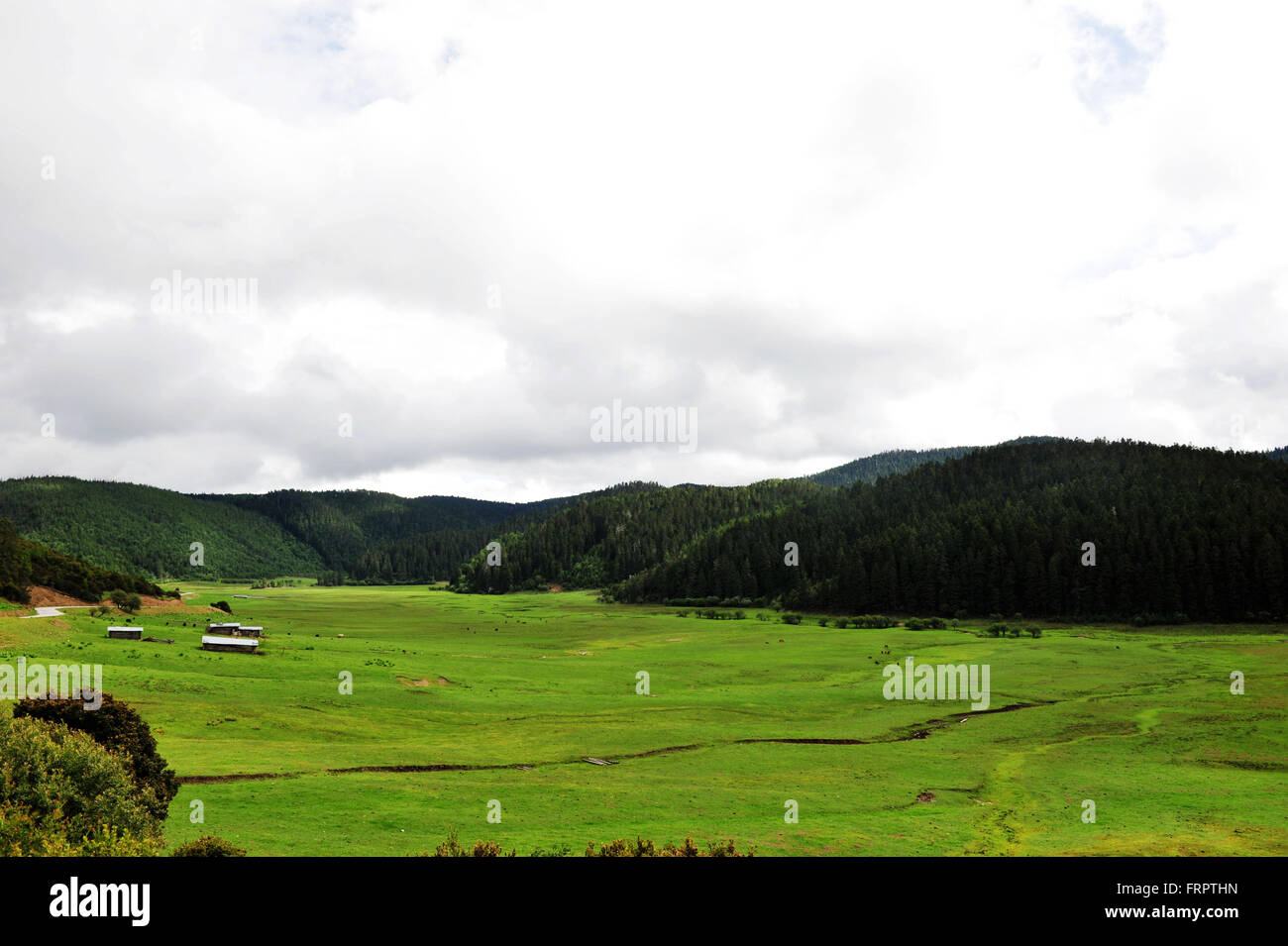 Diqing, China. 24th July, 2015. Many people get to know Shangri-La ...