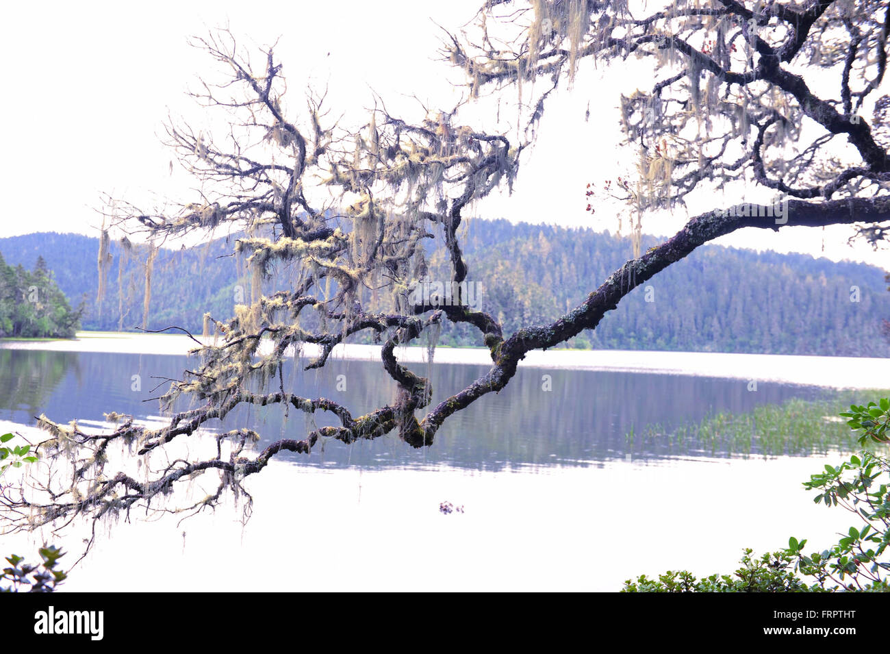 Diqing, China. 24th July, 2015. Many people get to know Shangri-La ...