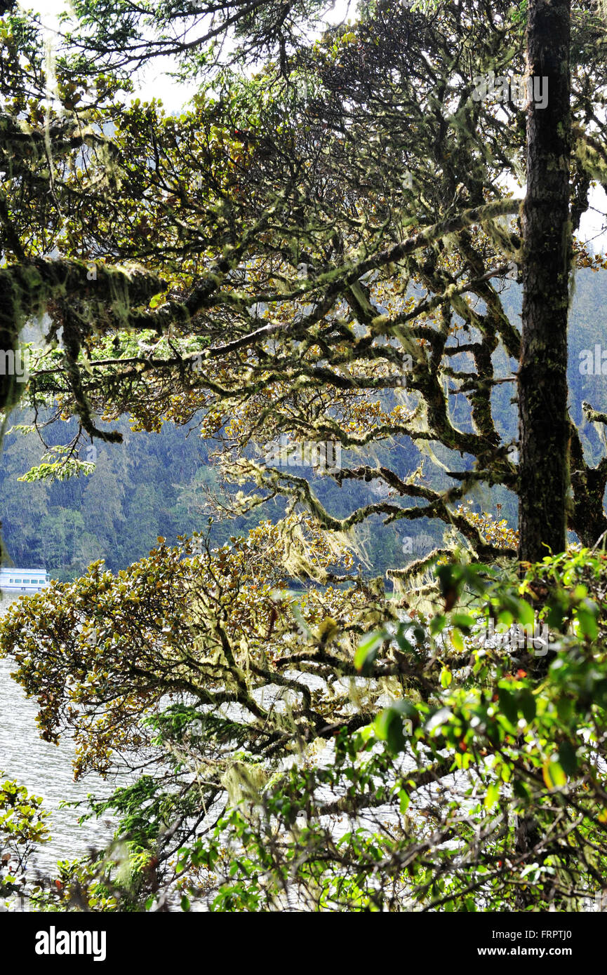 Diqing, China. 24th July, 2015. Many people get to know Shangri-La ...