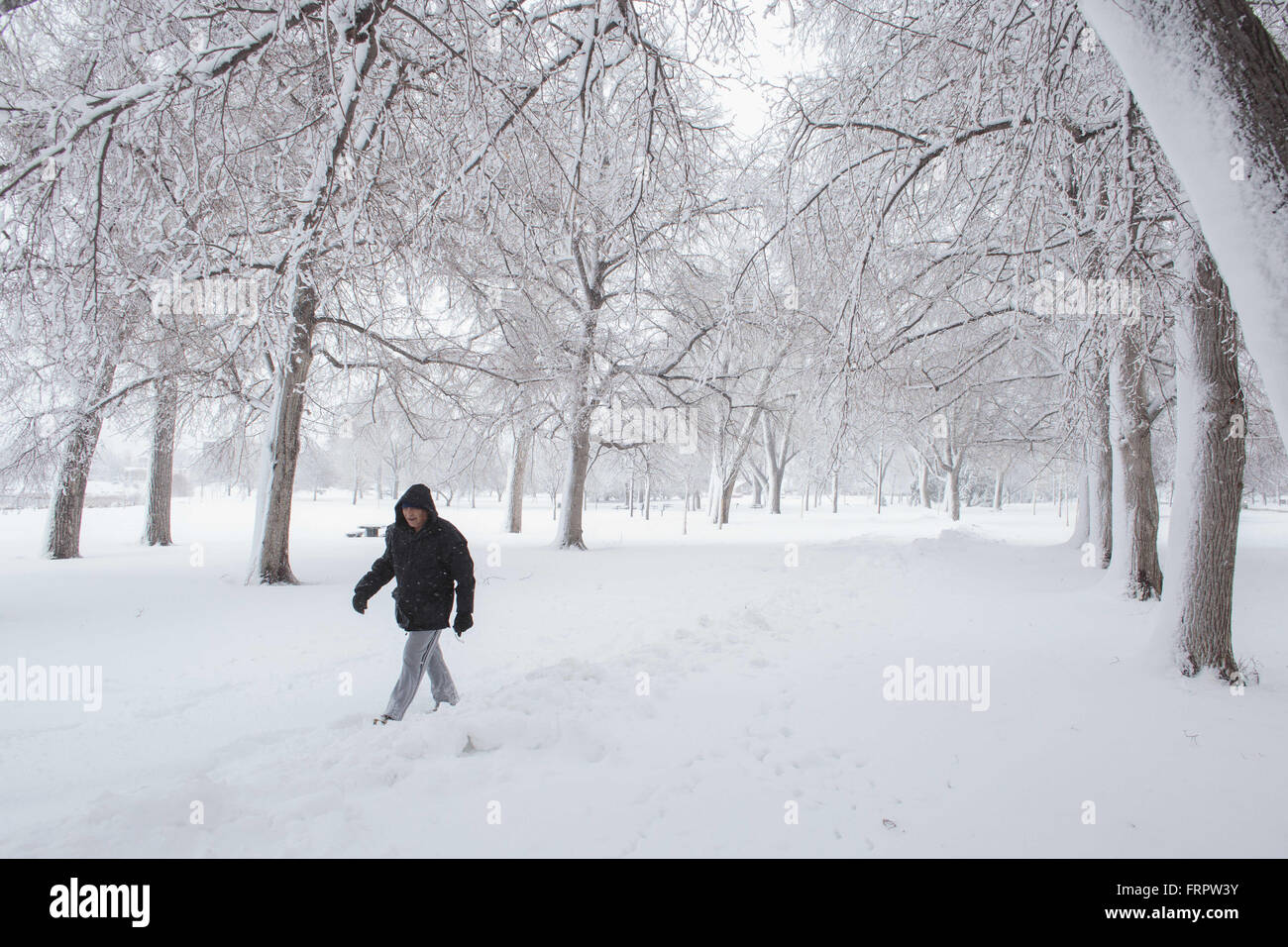 Denver, Colorado, USA. 23rd Mar, 2016. A man walks in a park as winds ...