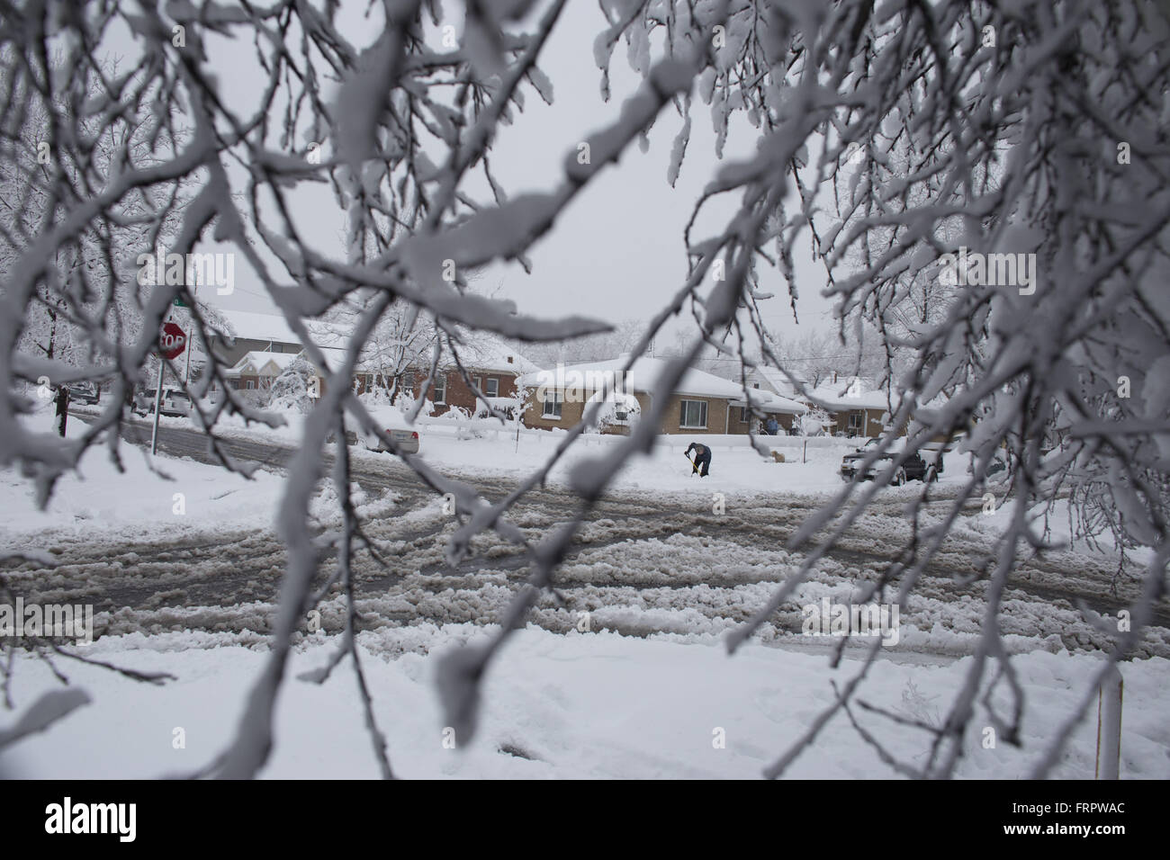Denver, Colorado, USA. 23rd Mar, 2016. A person shovels snow from the ...