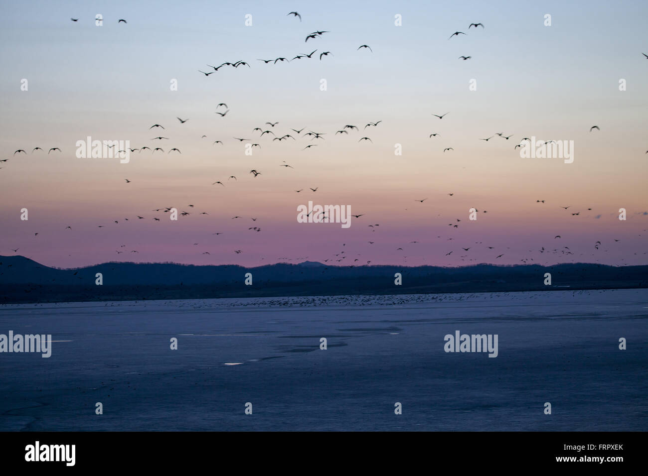 Huichun hi-res stock photography and images - Alamy