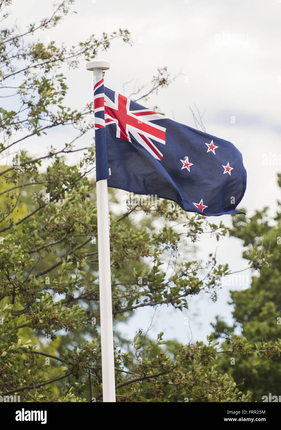 New zealand silver fern flag hi-res stock photography and images - Alamy