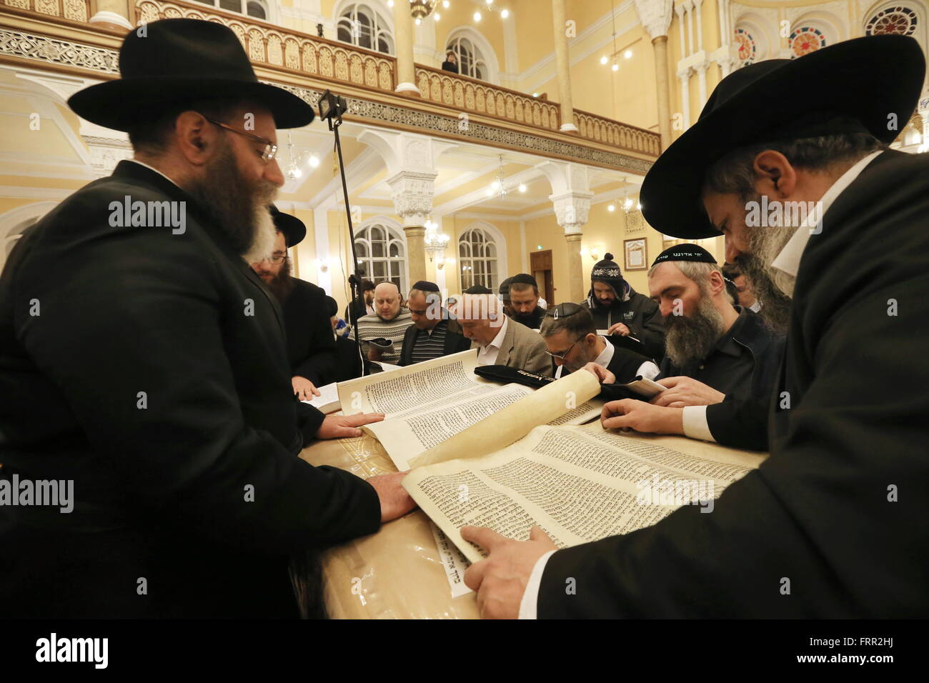 Rabbies High Resolution Stock Photography and Images - Alamy