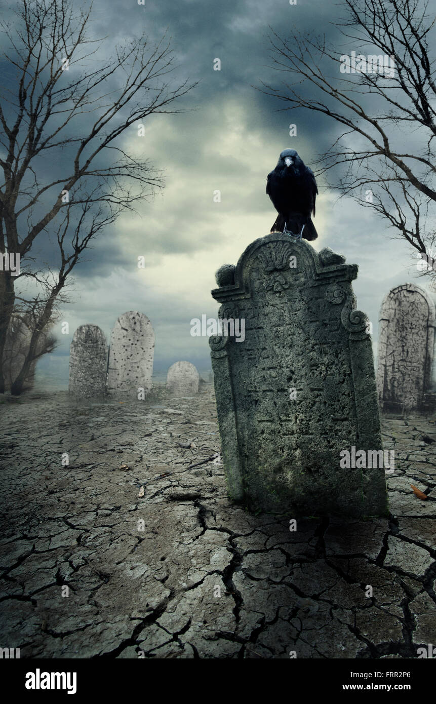 Gothic graveyard raven hi-res stock photography and images - Alamy