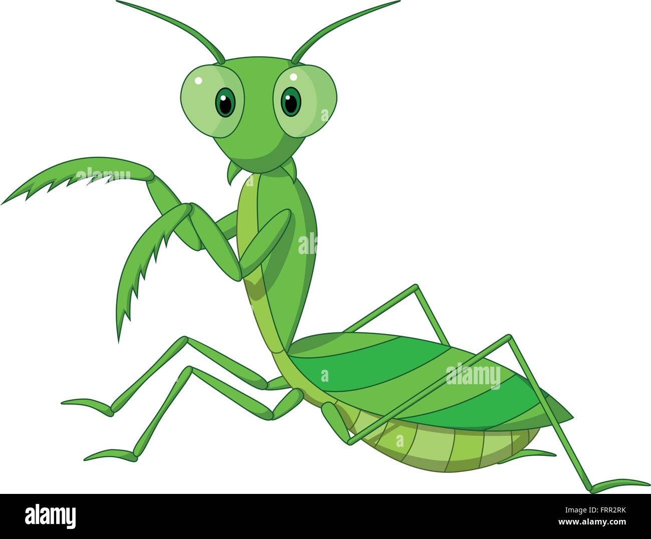 Praying mantis grasshopper cartoon Stock Vector Image & Art - Alamy
