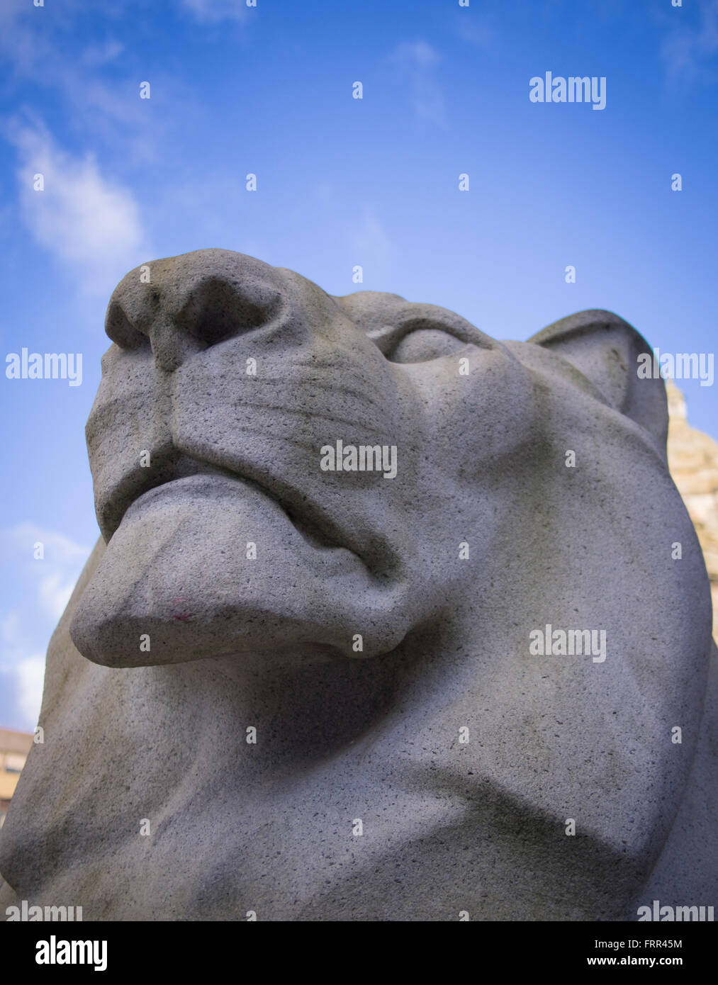 Haughty Lion statue seen from below Stock Photo - Alamy