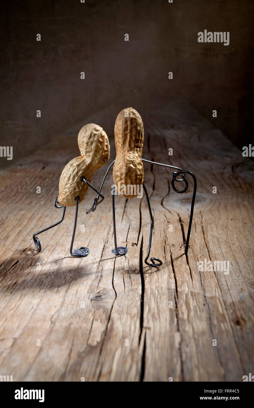 Nuts model hi-res stock photography and images - Alamy