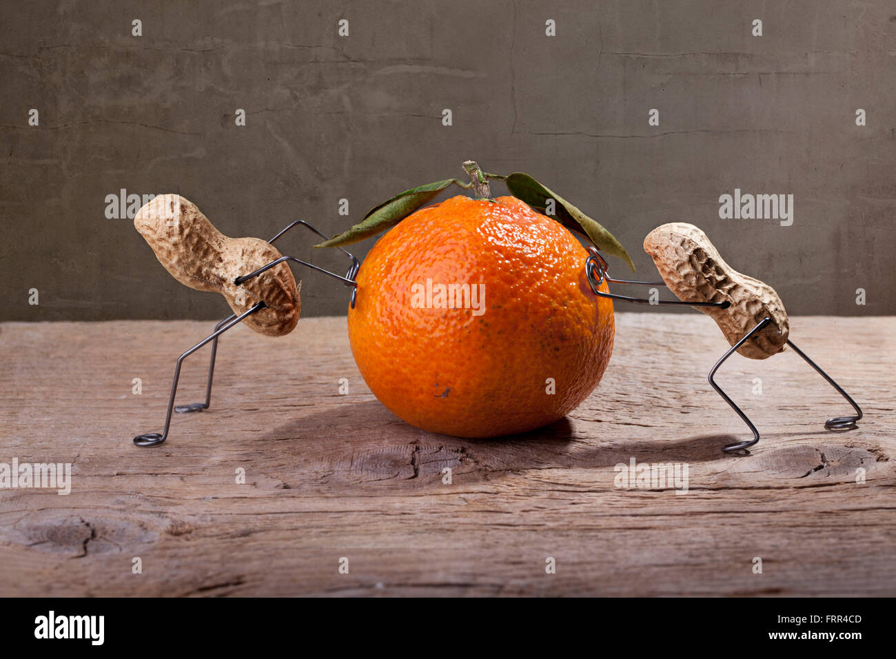 Simple Things - Miniature with Peanut People working against each other ...