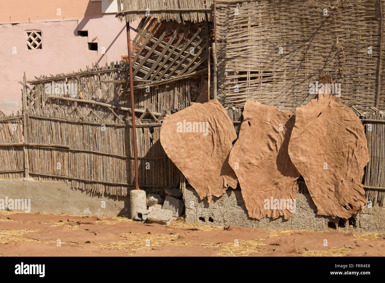 Raw Hides High Resolution Stock Photography and Images - Alamy