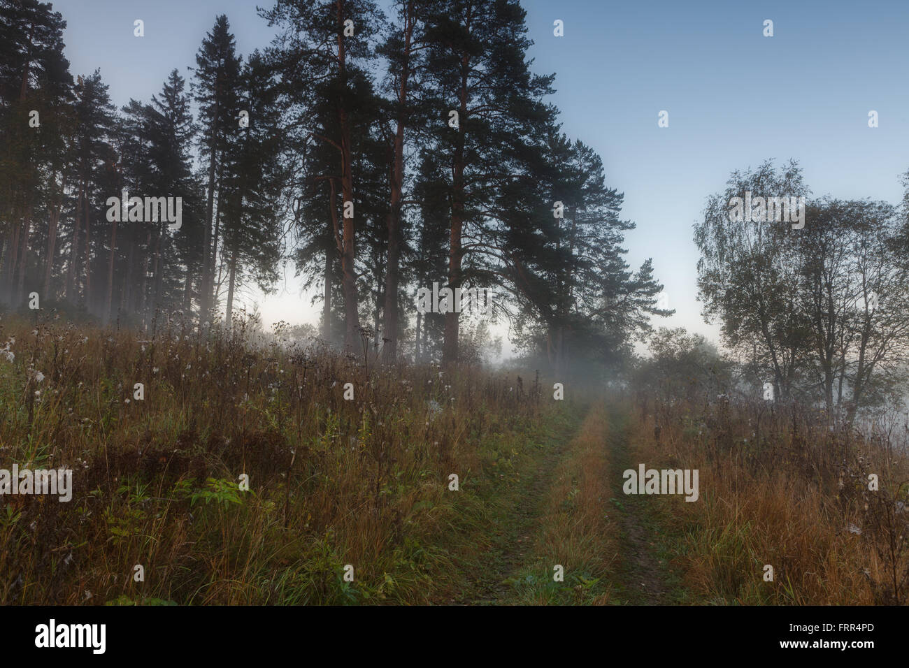 Beautiful panorama morning river wood hi-res stock photography and ...