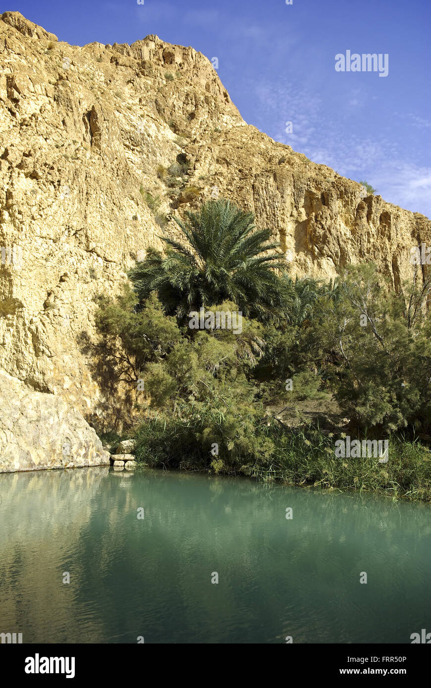 Oasis in the Sahara desert. Tunisia, Africa Stock Photo - Alamy