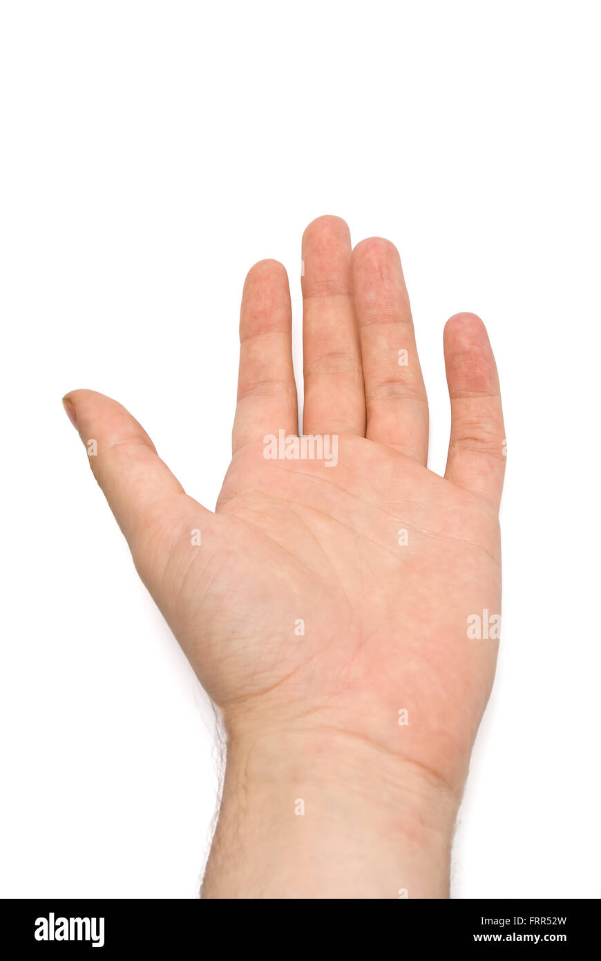 human hand isolated on white Stock Photo - Alamy